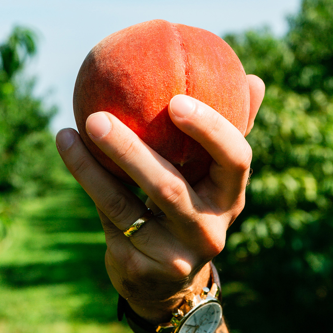 Farm rules Eastmont Orchards Farm rules Eastmont Orchards
